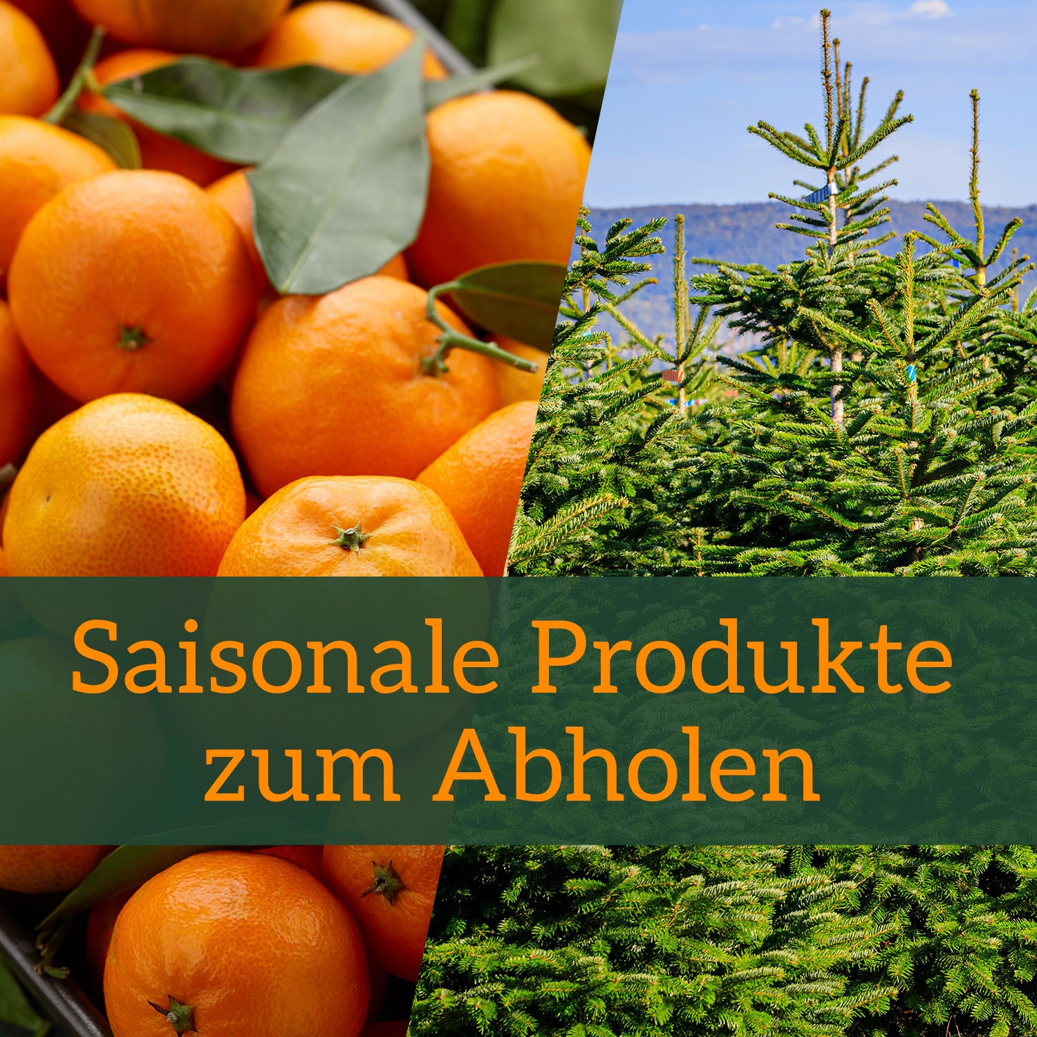 Saisonale Produkte / Abholung – Bauernhof-Sagel-Fleischpakete